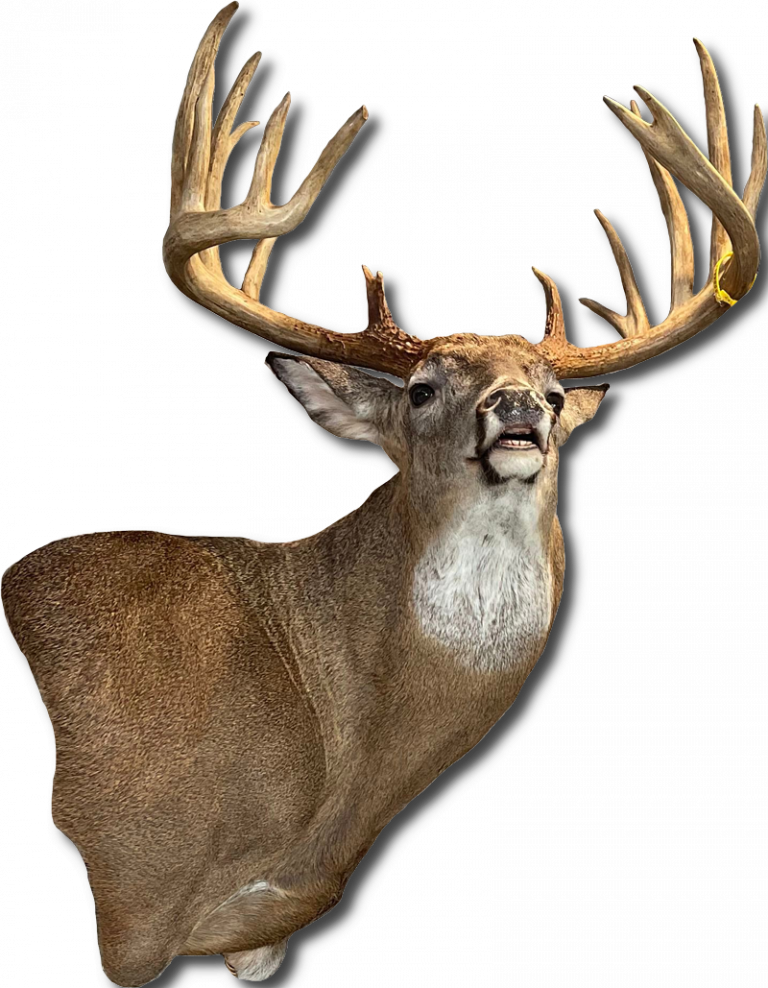Don Higgins - Whitetail Master Academy Online Training!