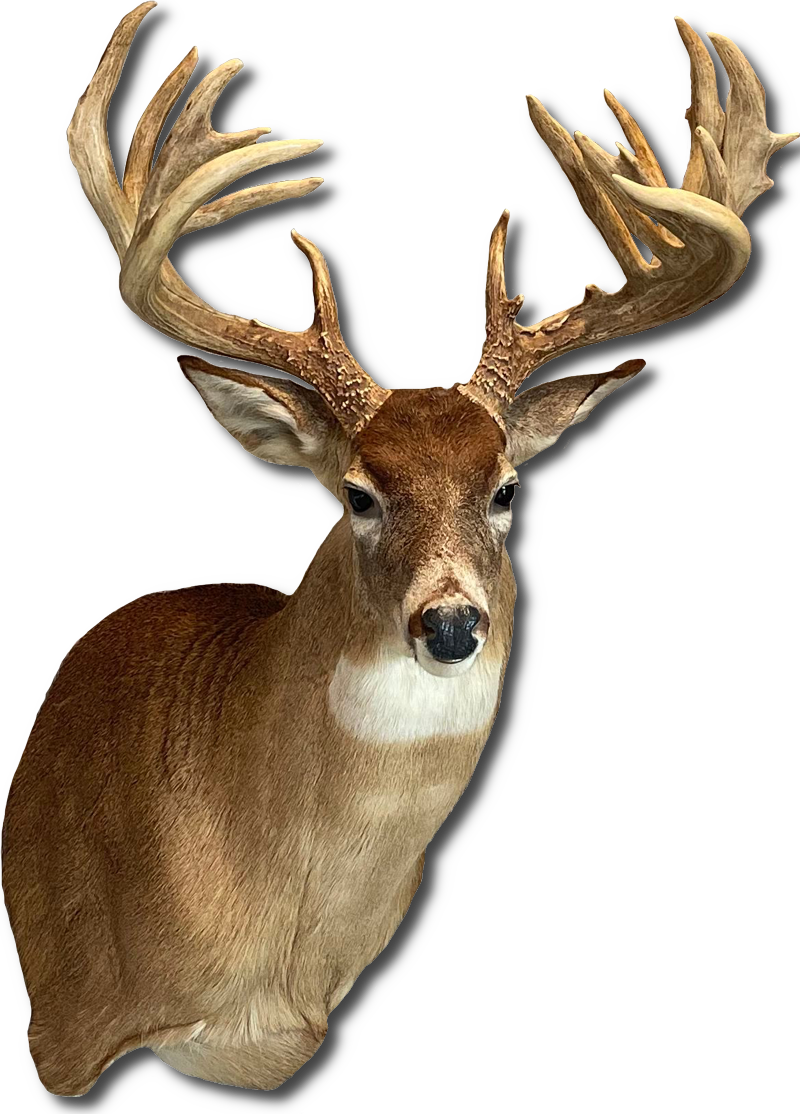 Whitetail Master Academy Free Training