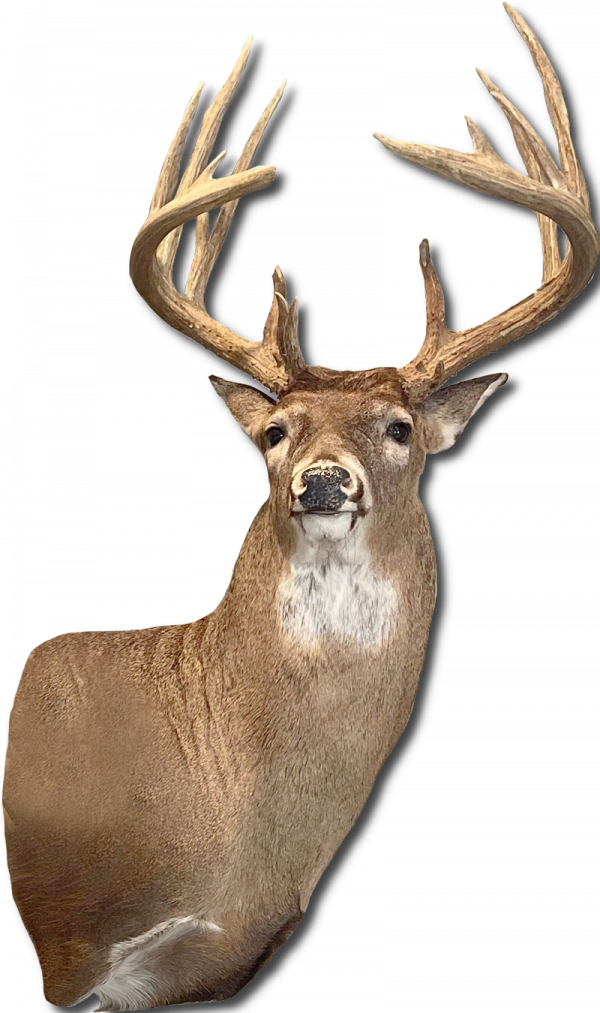 Don Higgins - Whitetail Master Academy Online Training!