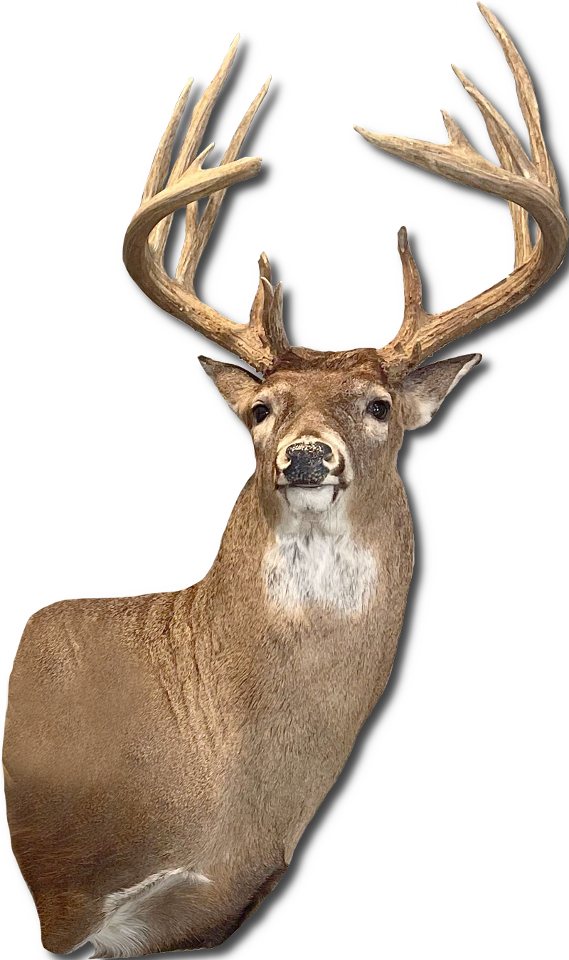 Don Higgins - Whitetail Master Academy Online Training!
