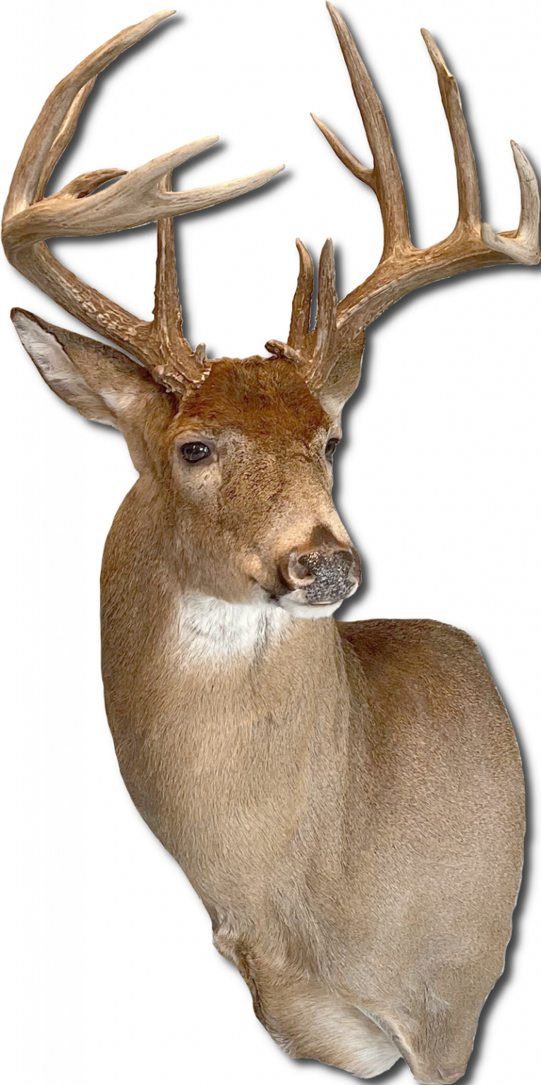 Don Higgins - Whitetail Master Academy Online Training!