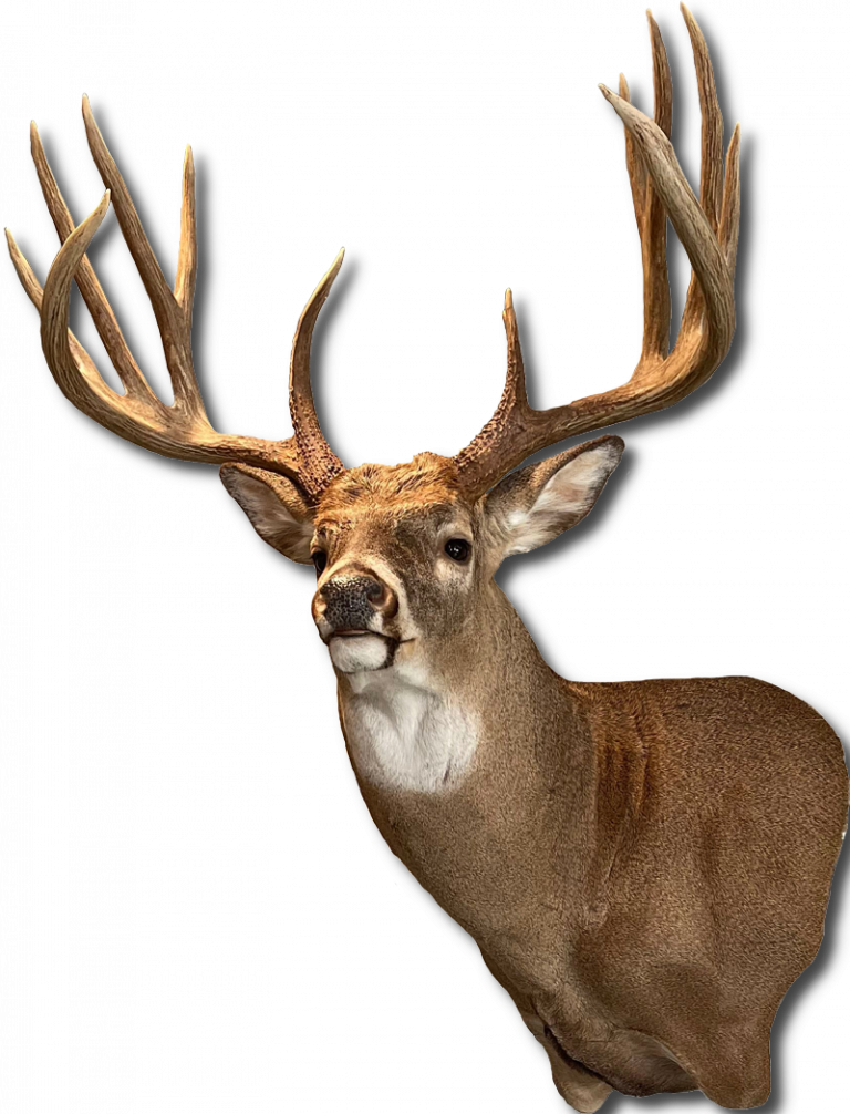 Don Higgins - Whitetail Master Academy Online Training!