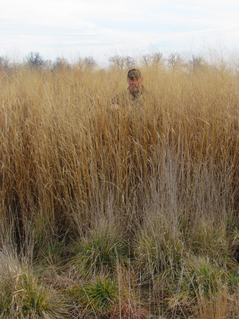 Bucks in the Tall Grass - Whitetail Master Academy