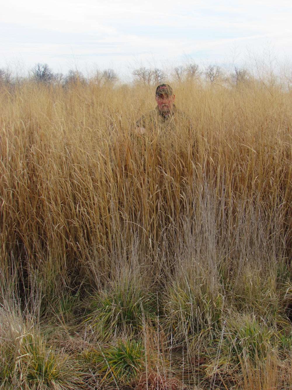 Bucks in the Tall Grass - Whitetail Master Academy