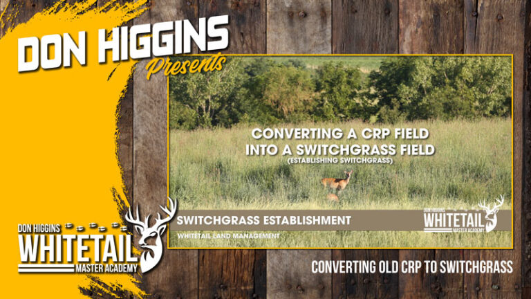Whitetail Land Management - Whitetail Master Academy