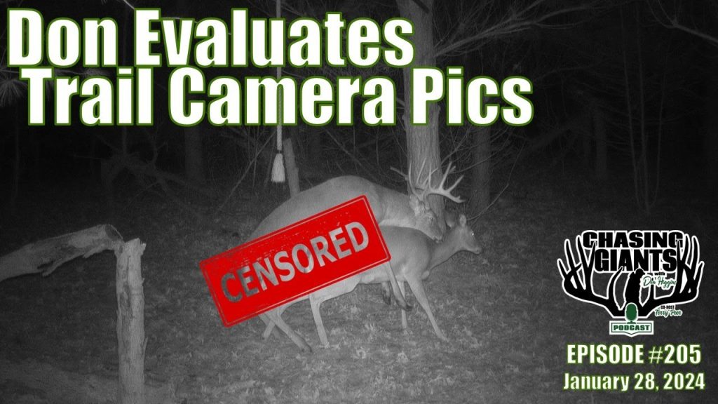 Don Higgins Live - Whitetail Master Academy