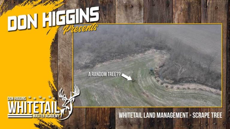 Whitetail Land Management - Whitetail Master Academy