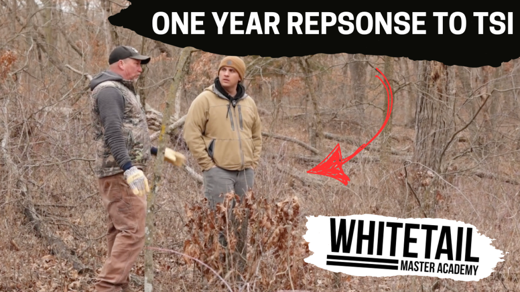 Videos - Whitetail Master Academy