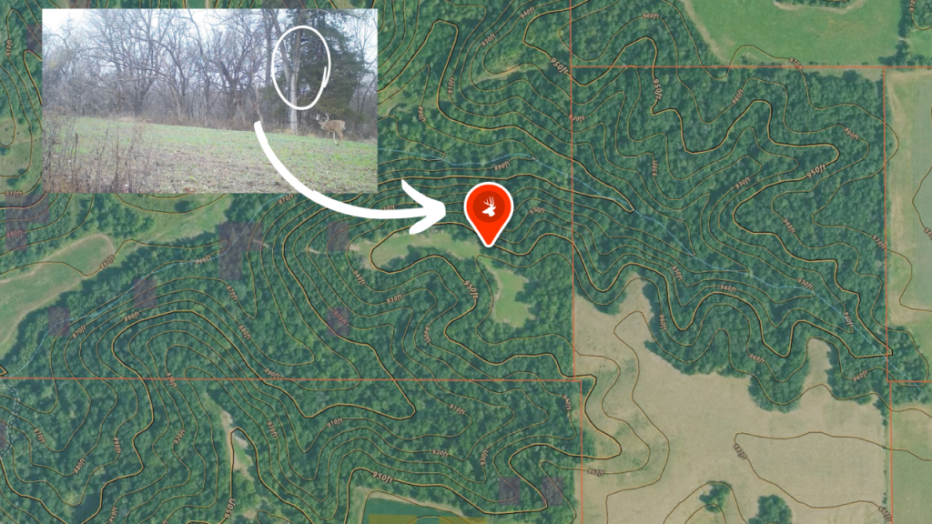 Videos - Whitetail Master Academy