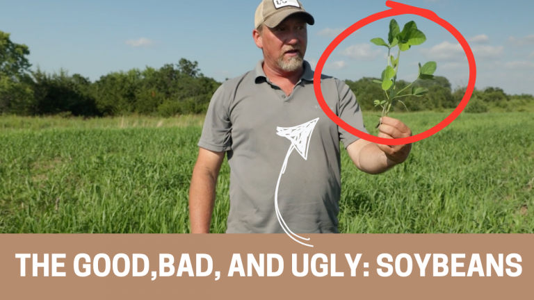 Videos - Whitetail Master Academy